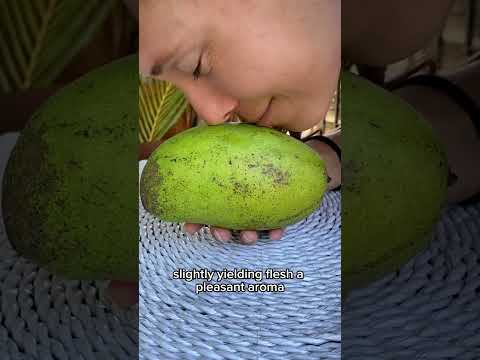 How to Choose the Best Mango