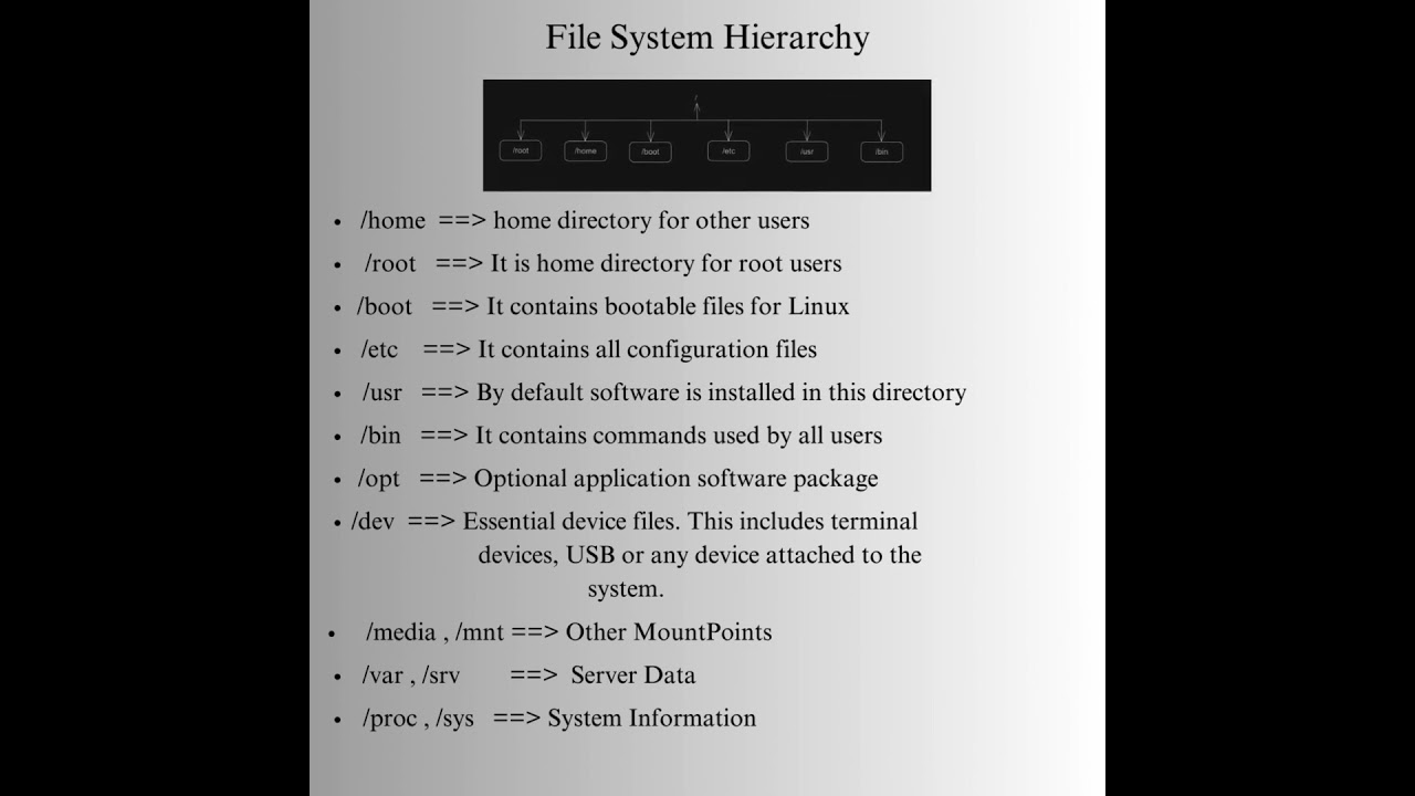 File System Hierarchy