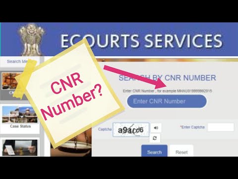 What Is CNR Number? In Detail | How To Check Court Case Status With CNR Number | Ecourt Services |