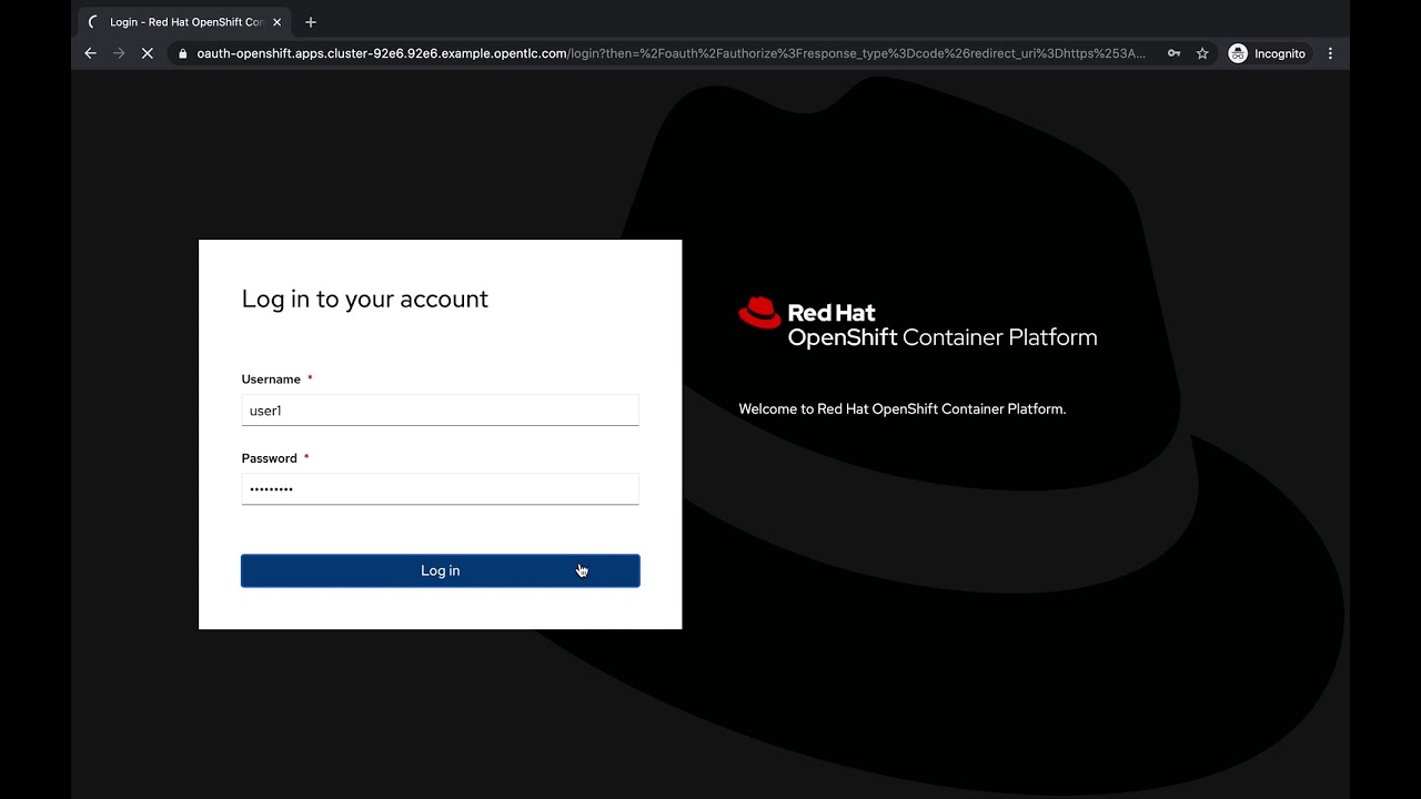 Fighting Financial Fraud with AI/ML