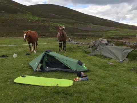 Corral and Morale Building | Horse Trails with a Bear and a Spotty Bum