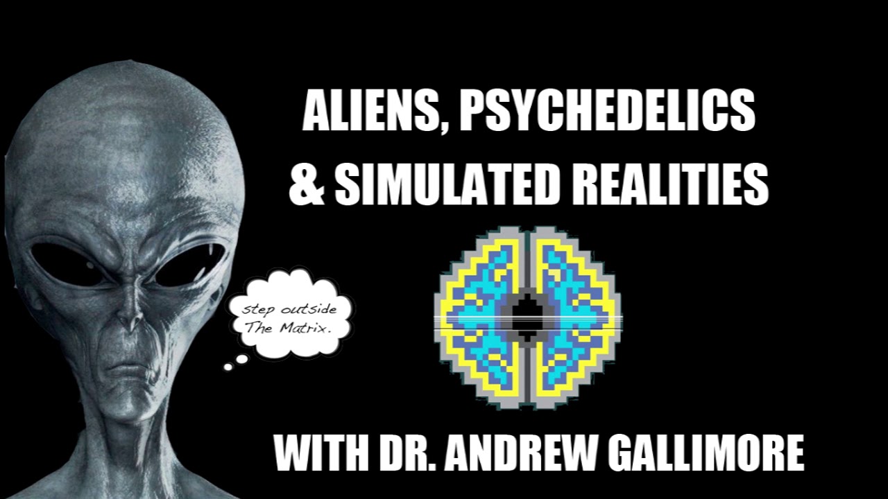 Aliens, Psychedelics, & Simulated Realities with Dr. Andrew Gallimore
