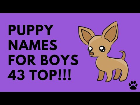Puppy Names For Boys - 43 CUTE IDEAS - Names!!!