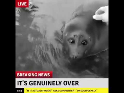 Steam Community :: Video :: its genuinely over