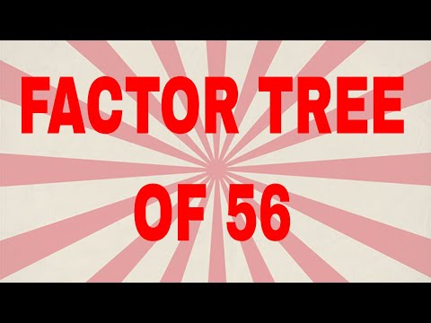 Factor tree of 56|Prime factor tree
