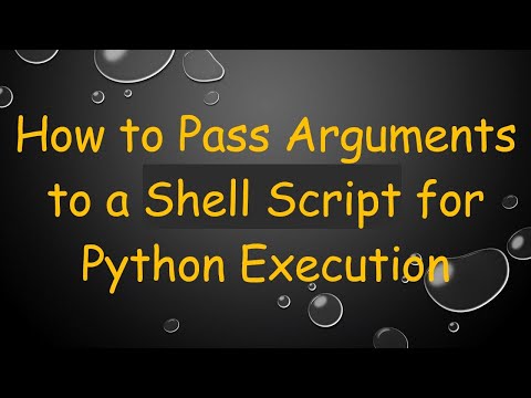 How to Pass Arguments to a Shell Script for Python Execution