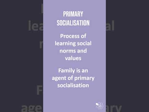 Primary Socialisation | 60 Second Sociology (Families and Households)