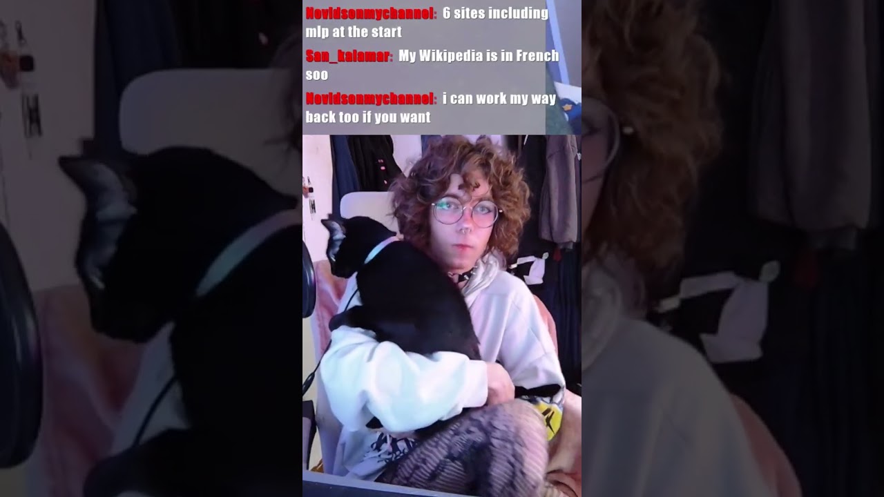 cat, say hi to chat