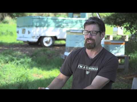 Sustainable Beekeeping - Napa Valley Bee Company - Barnraiser.us Webisode