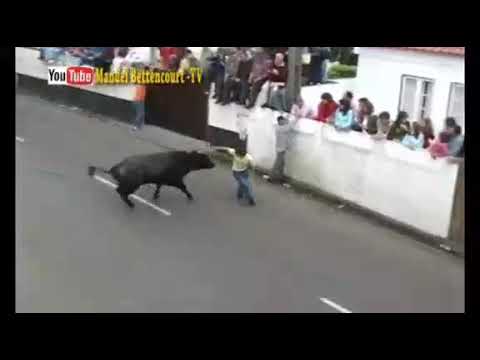 Toiradas para RIR com efeitos de som | Risada | Funny video with sound Effects | Açores