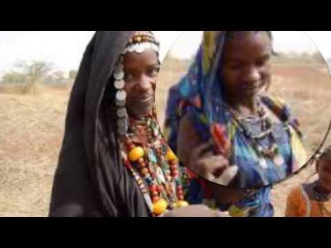 peuls mbororo du tchad | afpat