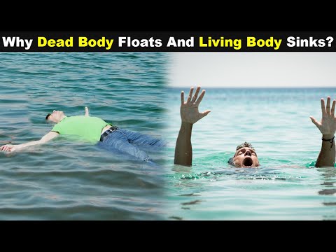 Why Does Dead Body Floats In Water And Living Body Sinks? (Urdu/Hindi)