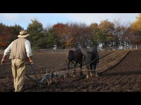 Beamish Museum: Ploughing.
