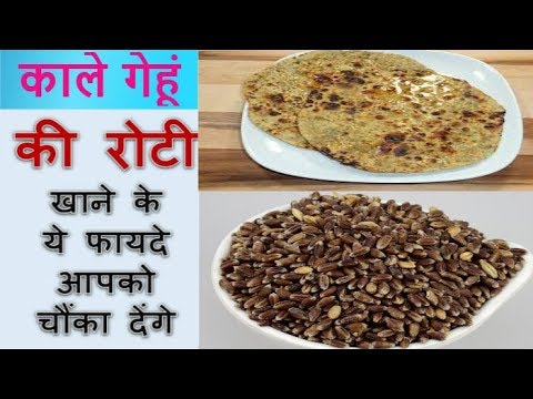 Black Wheat Seed - Wholesale Price & Mandi Rate for Black Wheat in India