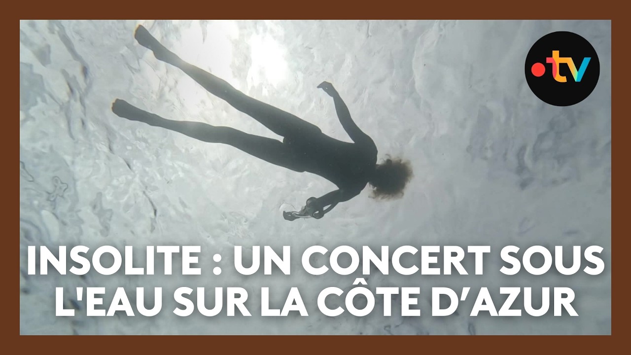 Concert de la Musique de la Marine Nationale à Cavalaire-sur-Mer le 27 ...
