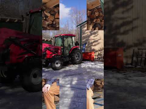 What is homesteading #shorts