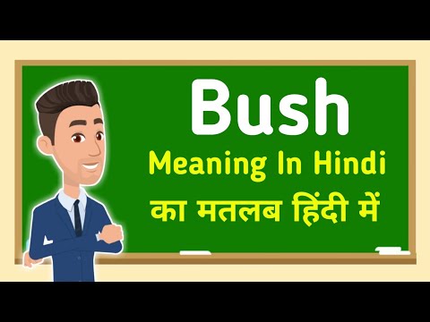 Bush meaning in hindi || Bush का मतलब हिंदी में