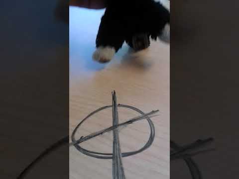 Update on the proxy symbol ft Glitter