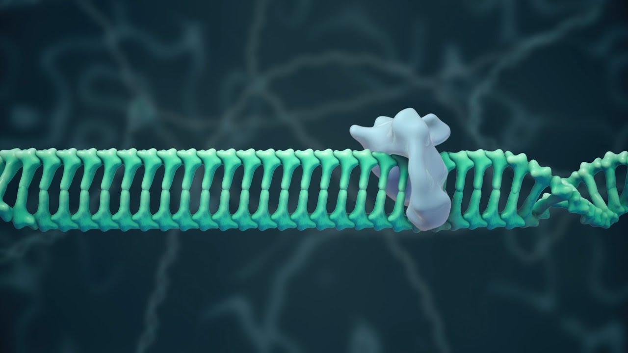 CF Foundation | How Gene Editing Could Be Used for CF