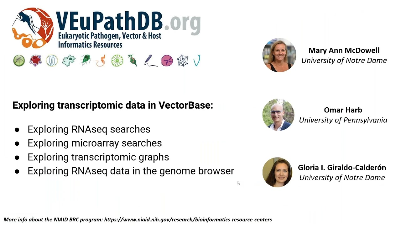 Exploring transcriptomic data in VectorBase