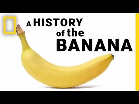 The Surprising History of Bananas in Under 2 Minutes | National Geographic