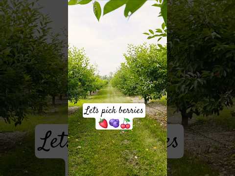 Strawberry, Blueberry & Cherry Picking at Butlerβs Orchard MD | Family Fun Weekend Farm Vlog 2025 π«π