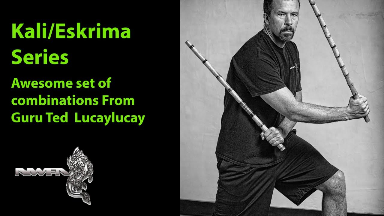 Kali/Eskrima Series 12 Killer Combinations
