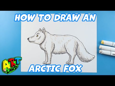 How to Draw an Arctic Fox