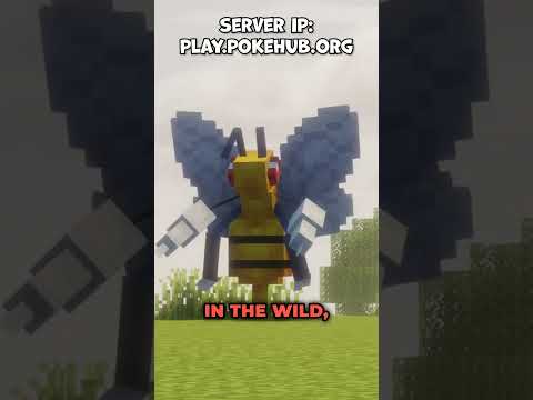 Greatest Server of 2025! #minecraft