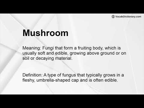 Mushroom Meaning