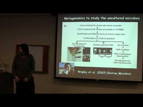 Forest Rohwer Crawling Holobionts Part 1 of 8