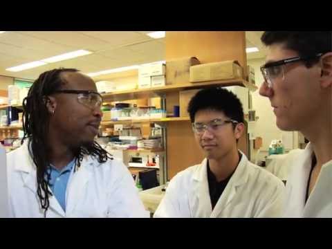 The Wallace H. Coulter Department of Biomedical Engineering at Georgia Tech and Emory