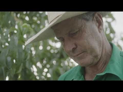 Andrew and Graham Finlay | Pikes Creek Orchard