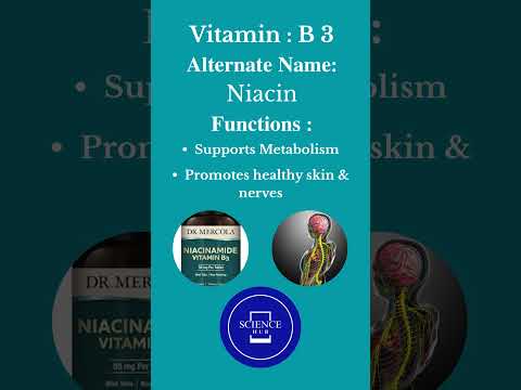 Vitamin B 3 & Functions | Science Hub