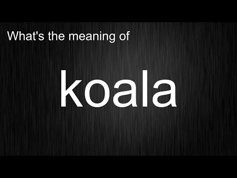 Unlock the Hidden Power of the Word koala! Standard English Word Meaning Lesson!