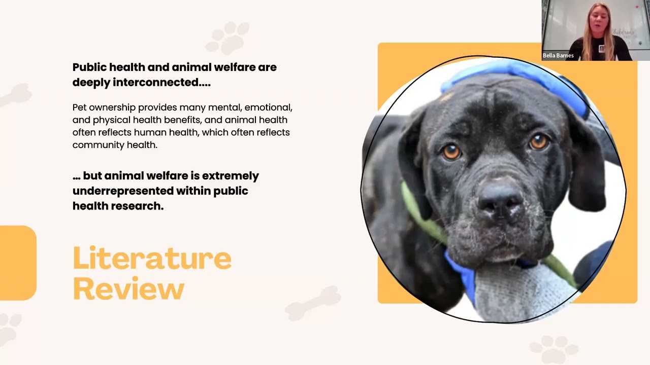 Animal Welfare Community Assessment  Final Presentation