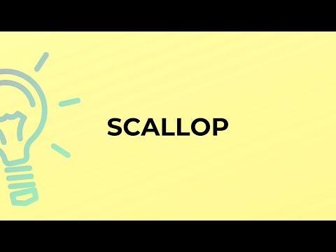 What is the meaning of the word SCALLOP?