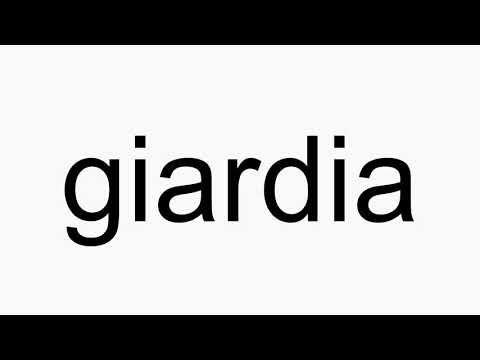 How to pronounce giardia