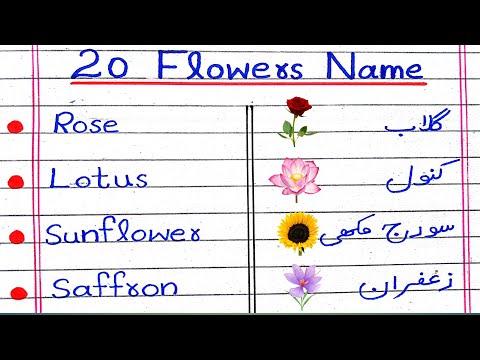 20 Phoolon Ke Naam English Aur Urdu Mein | 20 Phoolon Ke Naam | 20 Flowers Name