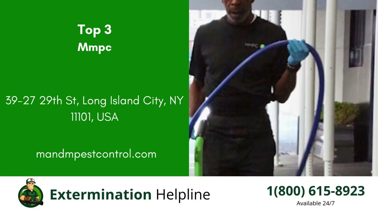 Top 3 Exterminators in Brookfield