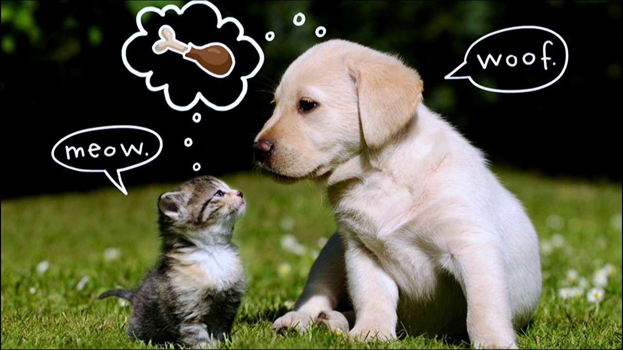 The Art of Communication: Decoding the Creative Relationship