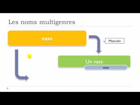 Become Fluent in French # Words with two genders # Vase