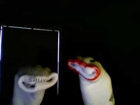 Why Socks Tube