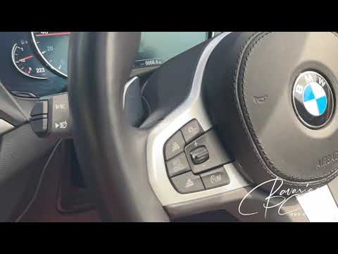 BMW 2019 G01 X3 M40i - Active Cruise Control With Stop & Go / Software Update