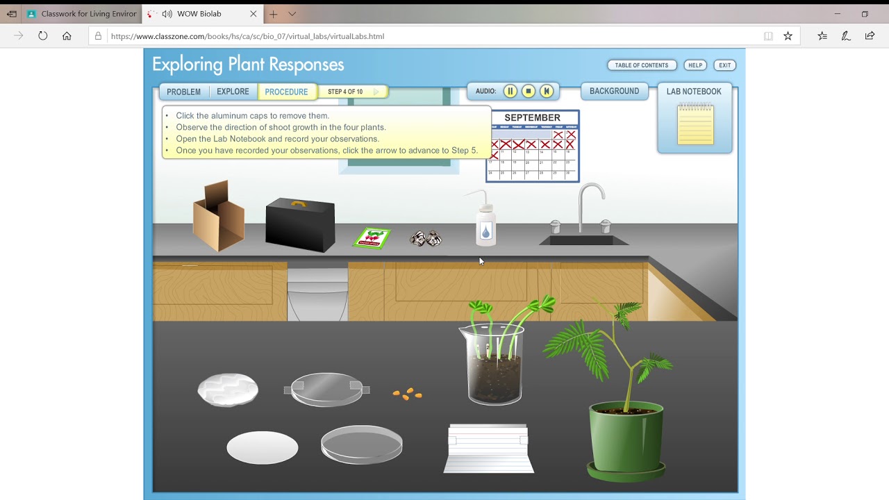 Virtual Lab: Exploring Plant Responses