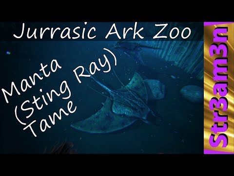 Steam Community :: Video :: Has anybody seen Nemo??? - Manta (Sting Ray ...