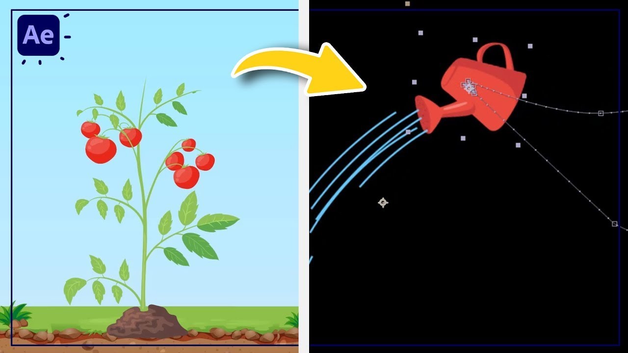 Vegetable Growing Animation with After Effects Tutorials