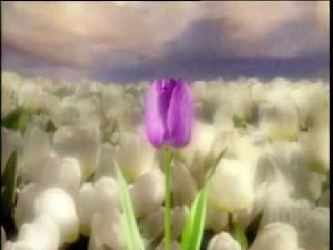 Treatment Of Oropharyngeal Candidiasis By Oravig (Miconazole) Buccal ...