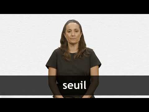 English Translation of “SEUIL” | Collins French-English Dictionary