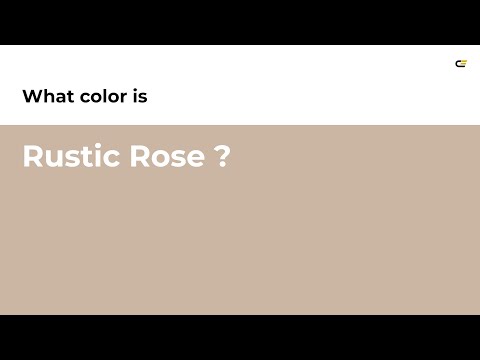 Rustic Rose color #cbb6a4 hex color - Yellow color - Cool color cbb6a4